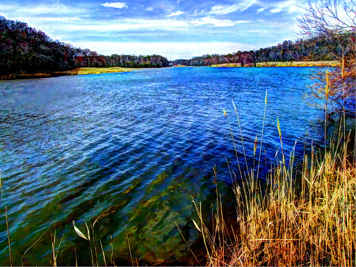 State Park «Hammerman Area Beach», reviews and photos, 7200 Graces ...