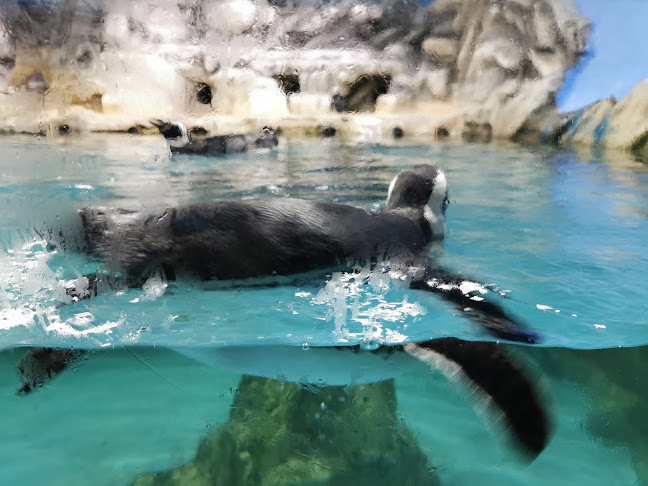 5207 recensioni di Tropicarium Park a Jesolo