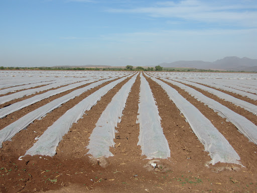 JMI Legacy Manufacturing, LLC - AZexplained