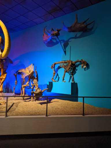 Imax Theater «The National Geographic Dome Theater & Daniel M. Soref ...