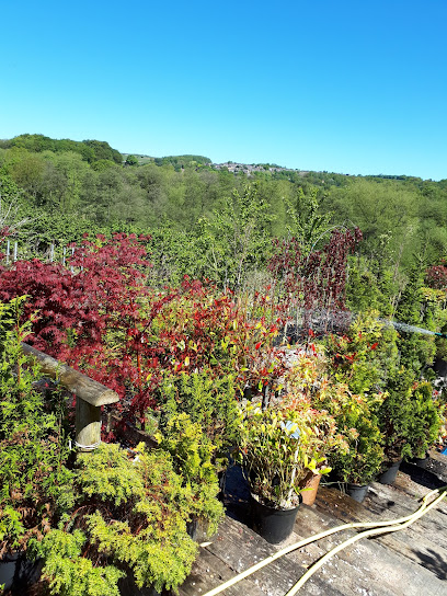 Trevor Dowson Nursery Plants - Farnham Ln, Knaresborough - Zaubee