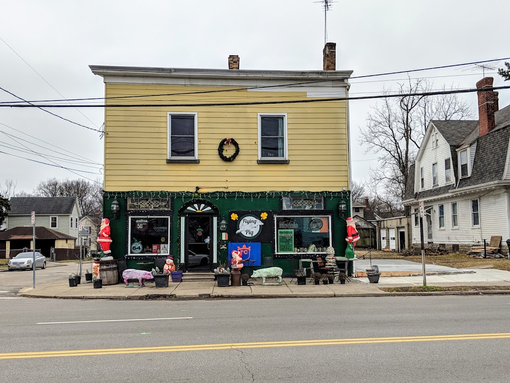 Flying Pig Irish Pub - Cincinnati, OH 45209, Reviews, Hours & Contact