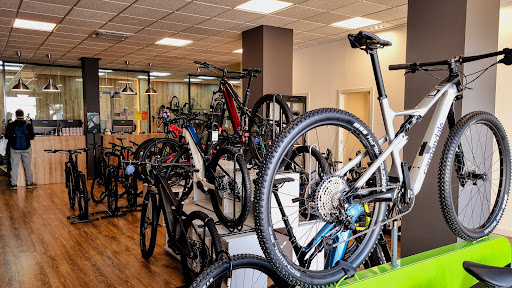 Hummi Bikes | Requena (Requena)