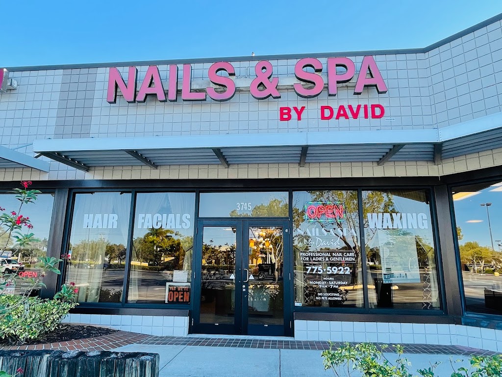 Nails & Spa By David - Naples, FL 34112 - Services and Reviews