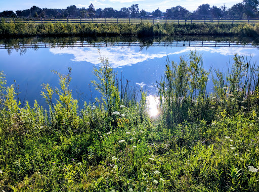 Park «Voice of America MetroPark», reviews and photos, 7850 VOA Park Dr ...