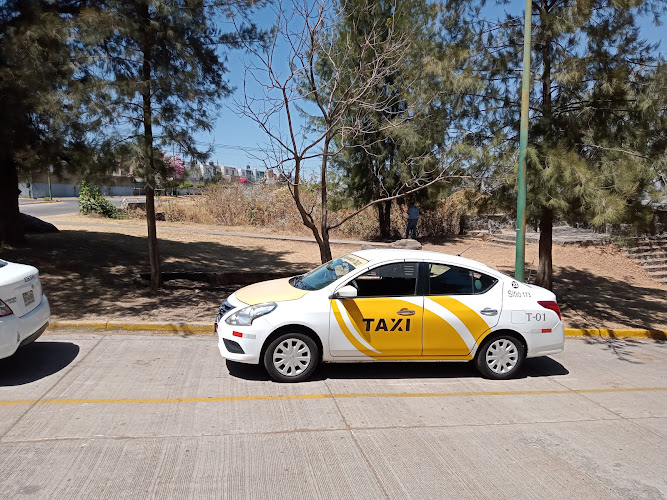 Sitio Nueva Imagen Terralta - Taxi en Guadalajara