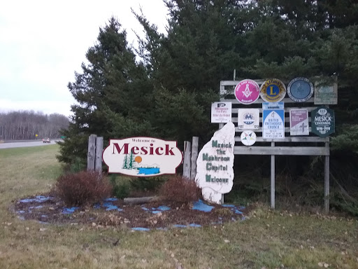 mesick Michigan - AZexplained