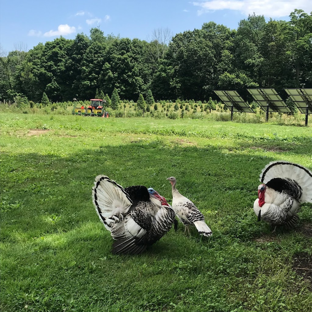 Pierson's Farm, a family place for making memories! - Middletown, NY ...