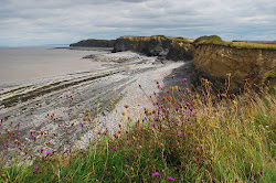 Kilve Beach | England, United Kingdom - detailed features, map, photos