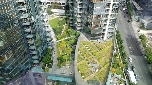 Amazon Everest (SEA82) in West Bellevue, Bellevue, Washington - Zaubee