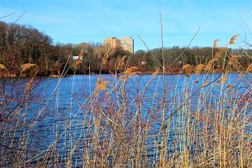 Public Golf Course «Weequahic Golf Course», reviews and photos, 1 ...