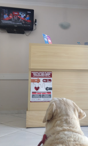 InVet, São Paulo - SP | Vet Clínicas BR