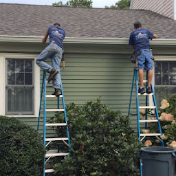 Home - Cape Cod Gutter Monkeys