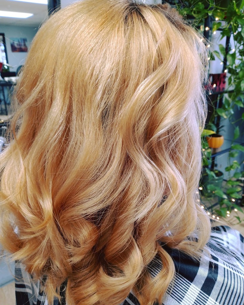 Divine Hair Salon - Apache Junction, AZ 85120 - Services and Reviews