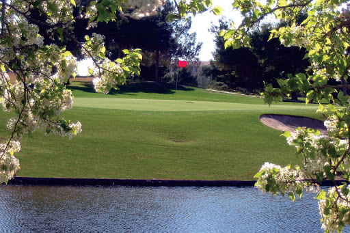 Golf Course «Dobson Ranch Golf Course», reviews and photos, 2155 S ...