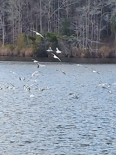 Lake Rim Park - 2214 Tar Kiln Dr, Fayetteville, North Carolina - Zaubee