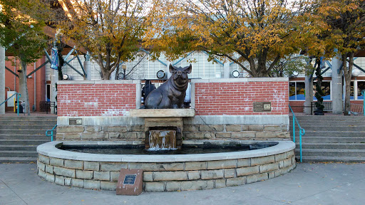 Natural History Museum «The Witt Stephens Jr. Central Arkansas Nature ...