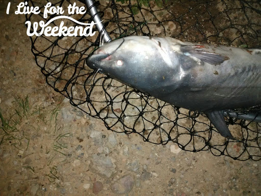 Triangle Fishing Lakes in Middletown, Ohio - Zaubee