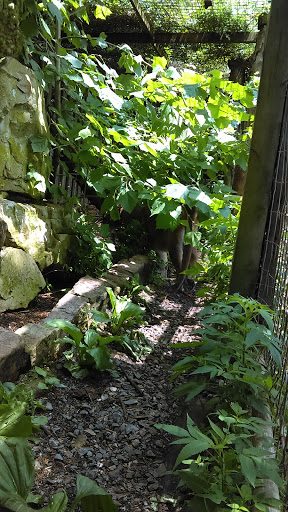 Zoo «Tri-State Zoological Park», reviews and photos, 10105 Cottage Inn ...