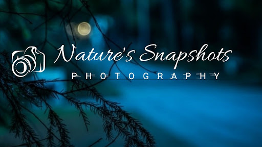 Nature's Snapshots - Passion for Natures and WildLife Photography