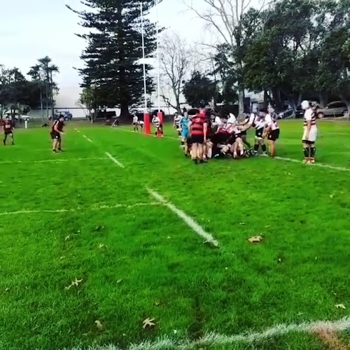 19 reviews of Papakura Rugby Football Club (Sports Complex) in Auckland ...