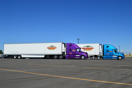 Roamer Transport - AZexplained