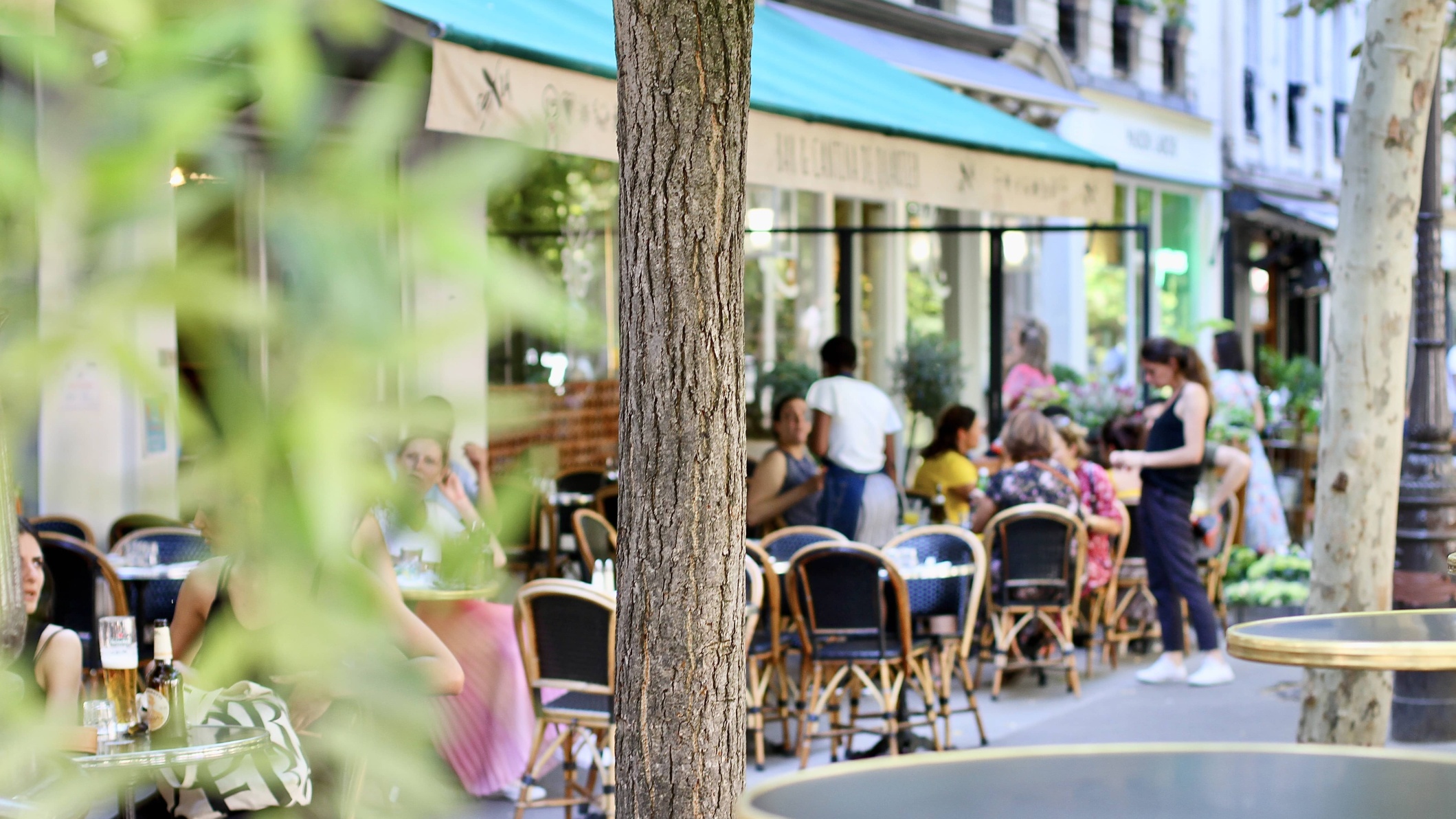 LA FARNESINA À PARIS, Restaurant italien (Numéro, adresse, horaires, avis)