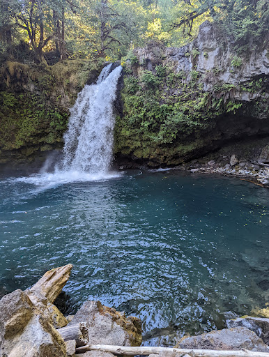 Lower Kalama River Falls - , Washington - Zaubee