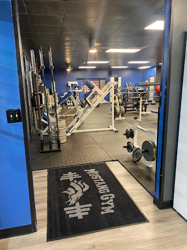 Mustang Gym & Personal Training - AZexplained
