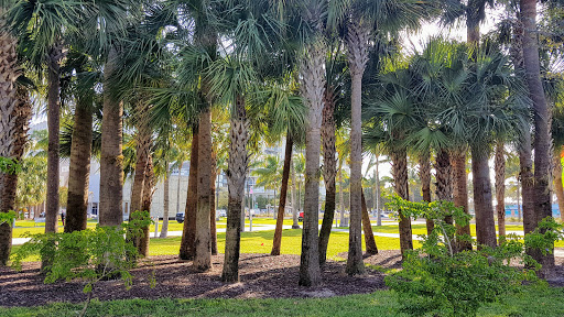 Park «Collins Park», reviews and photos, 2100 Collins Ave, Miami Beach ...