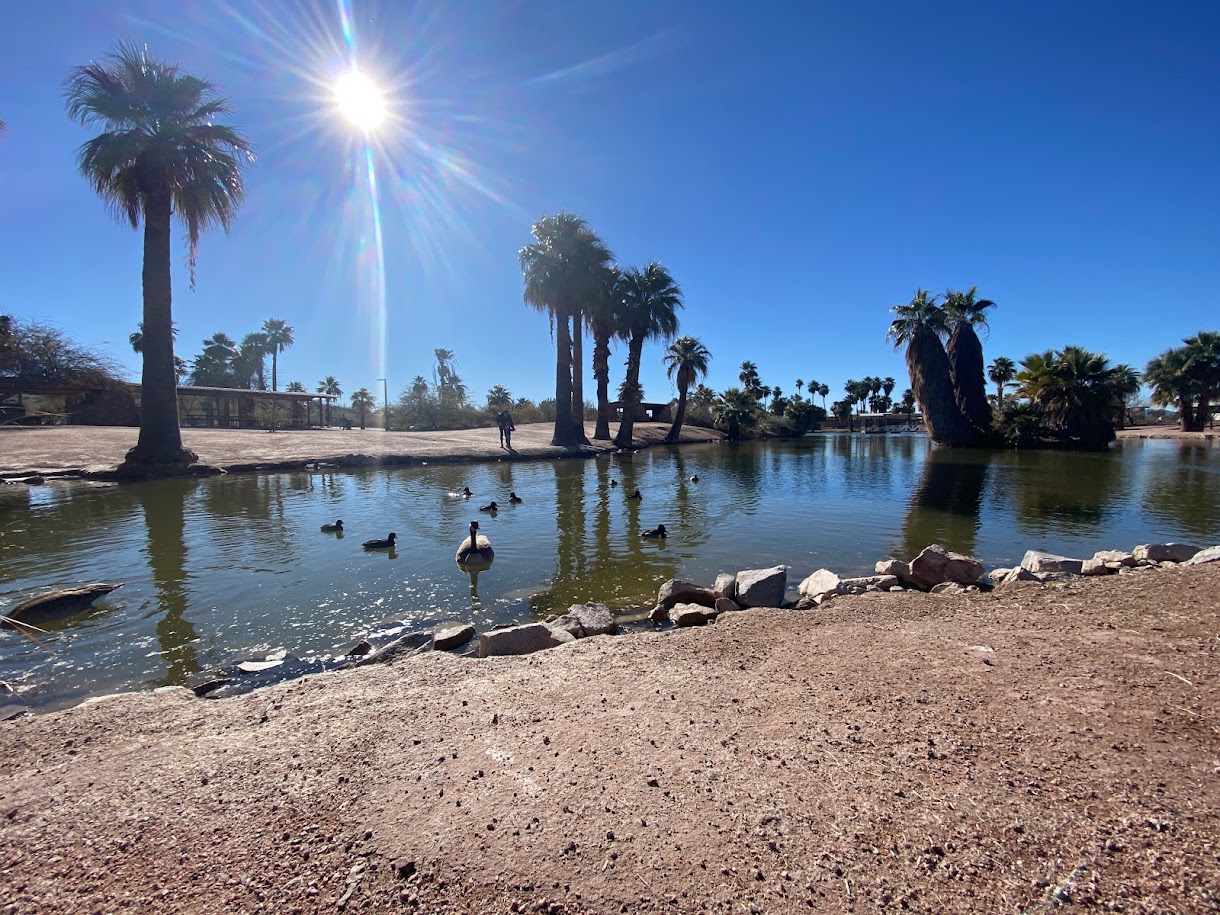 Phoenix's Best Fishing [Updated 2026]