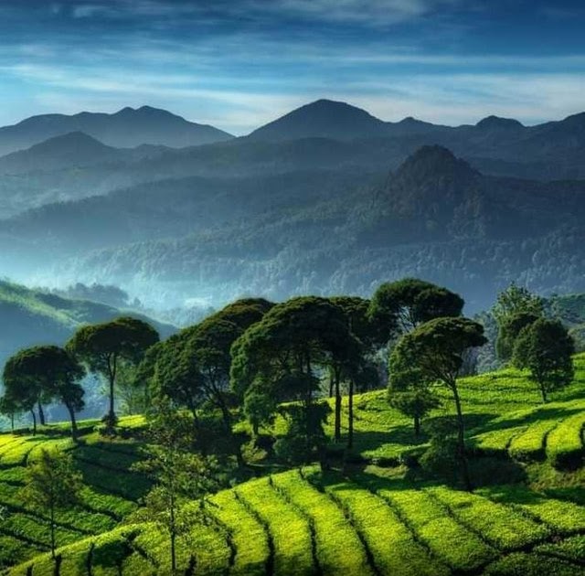 Menakjubkan 30 Gambar Pemandangan Alam Yang Nyata Kumpulan Gambar - Riset Menakjubkan 30 Gambar Pemandangan Alam Yang Nyata Kumpulan Gambar - Riset