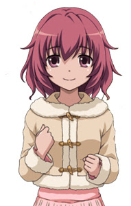 Animes y series: TORADORA (とらドラ )