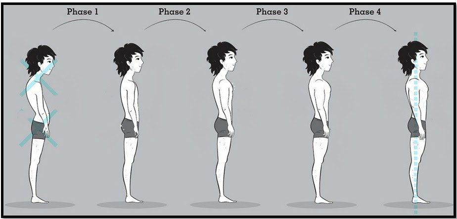 The training program for the ectomorph. What is it? - Body Building Online
