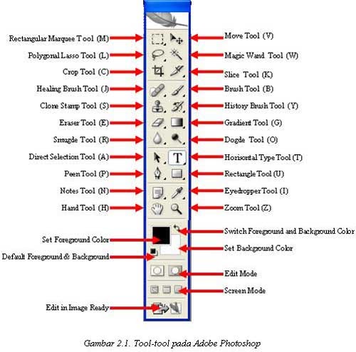 Tutorial Photoshop Selection And Tool