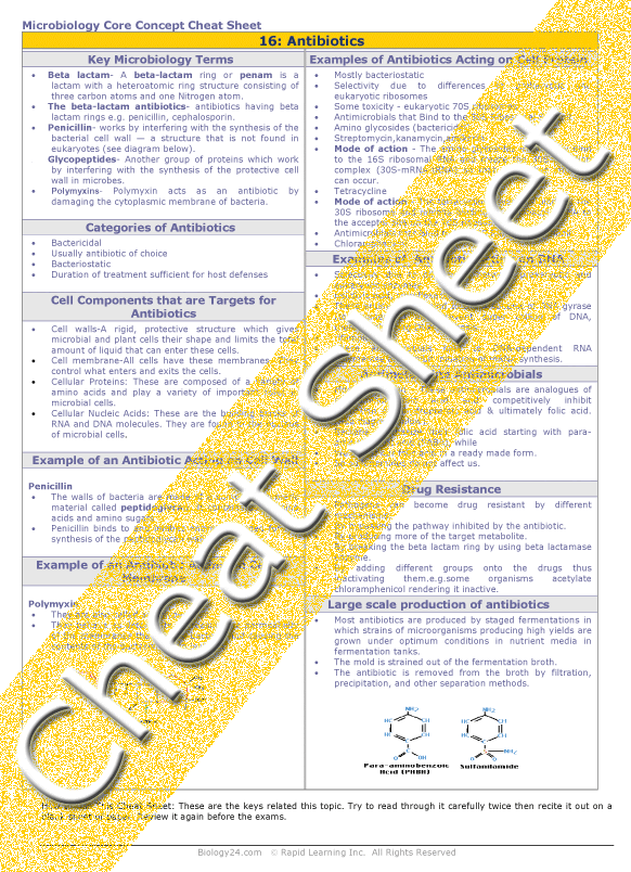 Usmle Antibiotics Cheat Sheet - Cheat Dumper Usmle Antibiotics Cheat Sheet - Cheat Dumper