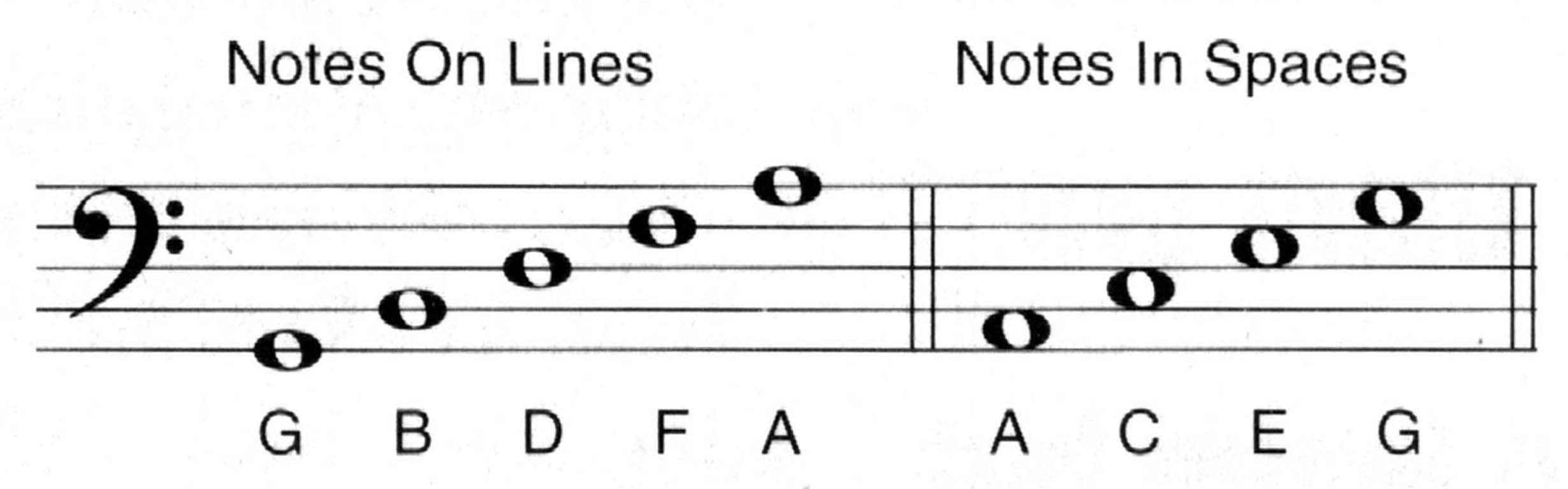 Israbi Bass Clef Music Notes Chart