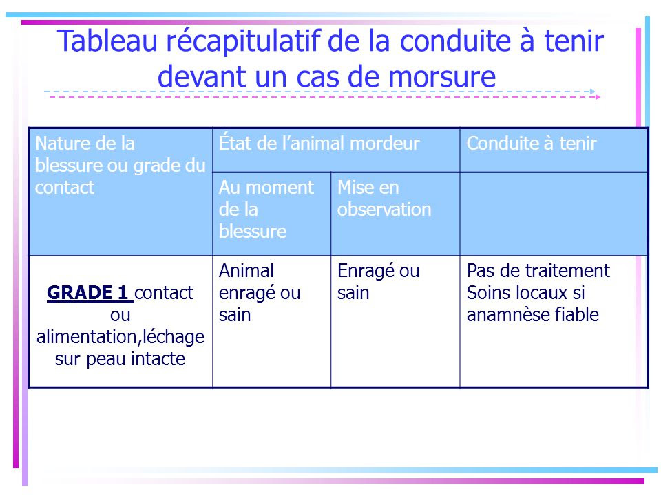 Conduite à Tenir Devant Une Morsure De Chien Pdf - Chien Nouvelles Conduite à Tenir Devant Une Morsure De Chien Pdf - Chien Nouvelles