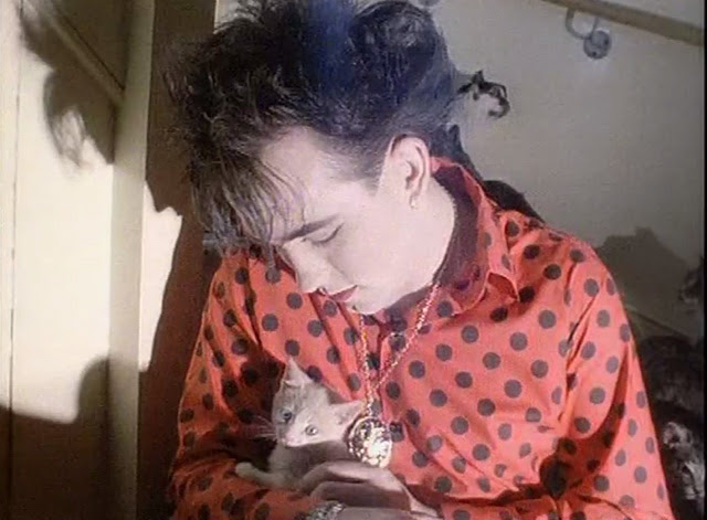 The Cure Cat Love