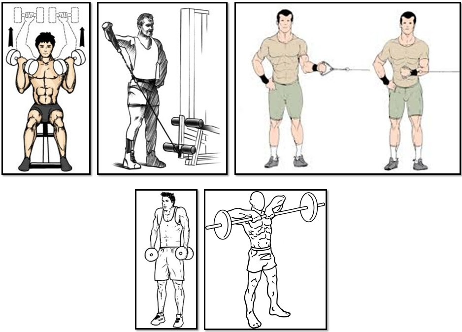 The training program for the ectomorph. What is it? - Body Building Online