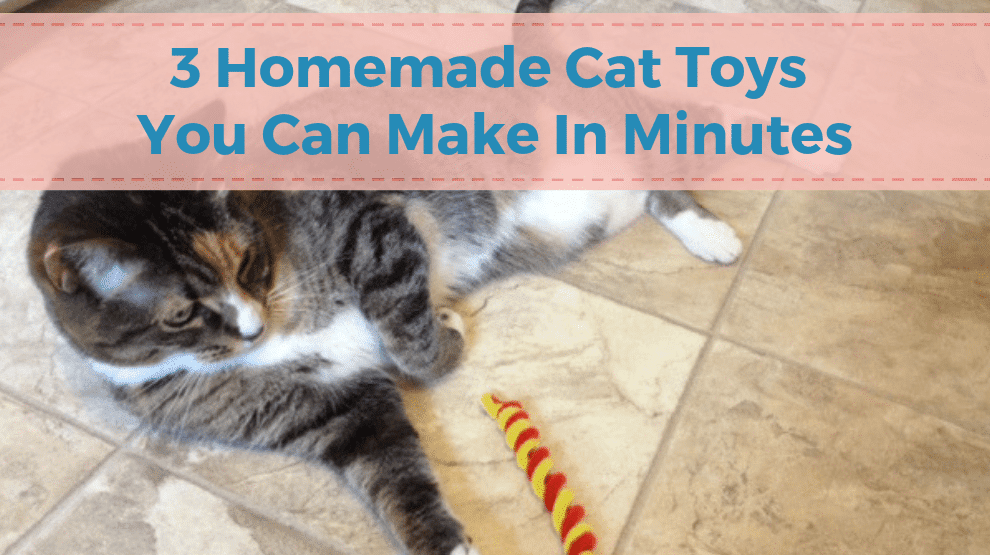 Cool Cat Toys You Can Make Toywalls